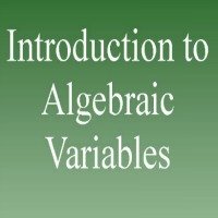 Algebraic Variables